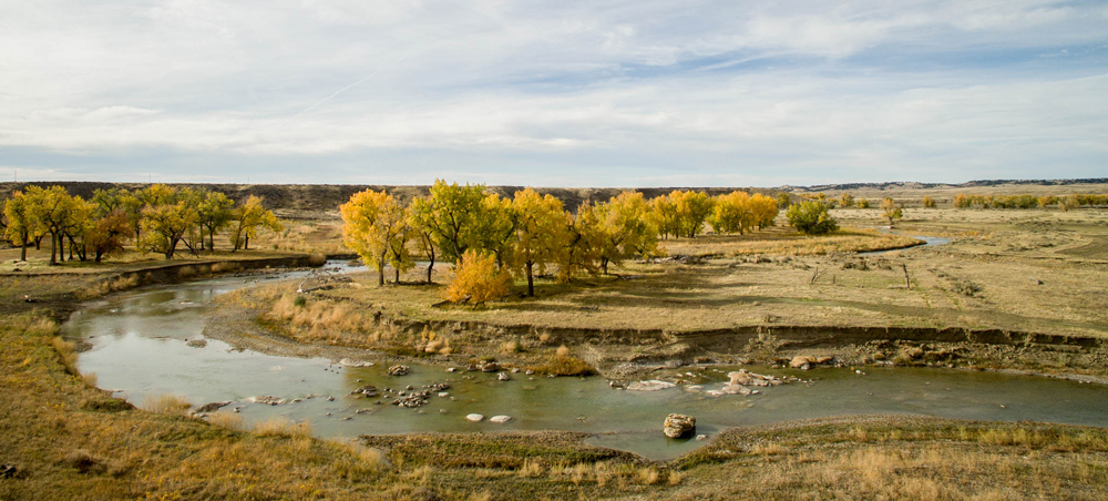 Home - Phillips Realty